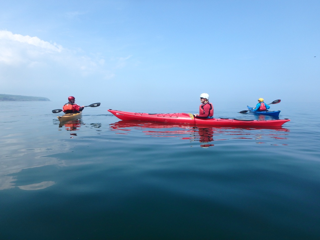 home page | North Wales Wildlife Trust