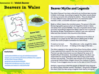 Primary school beaver education resource | North Wales Wildlife Trust