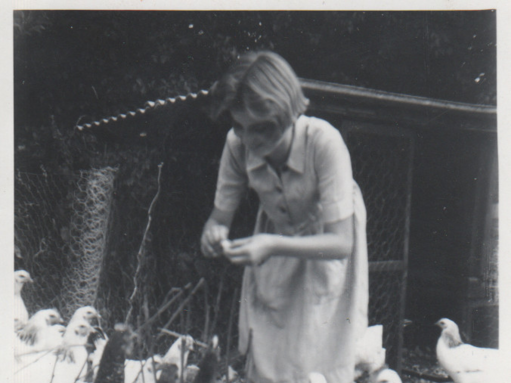 Remembering June Bird | North Wales Wildlife Trust