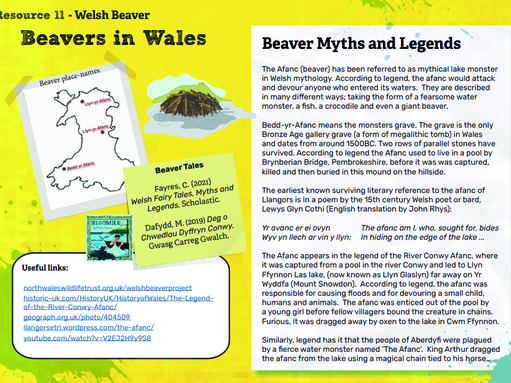 Primary school beaver education resource | North Wales Wildlife Trust
