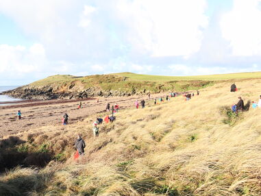 Y Môr a Ni: Ocean Literacy for Wales | North Wales Wildlife Trust