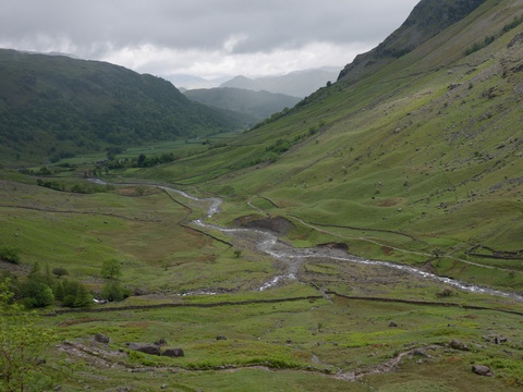 Upland acid grassland and rush pasture | North Wales Wildlife Trust