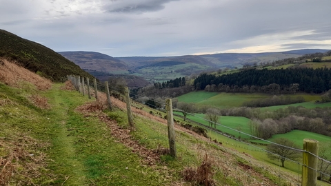 Rhewl Circular Walk | North Wales Wildlife Trust