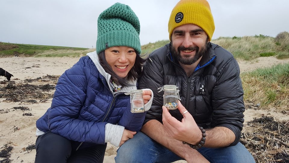 Summer on the Seashore | North Wales Wildlife Trust