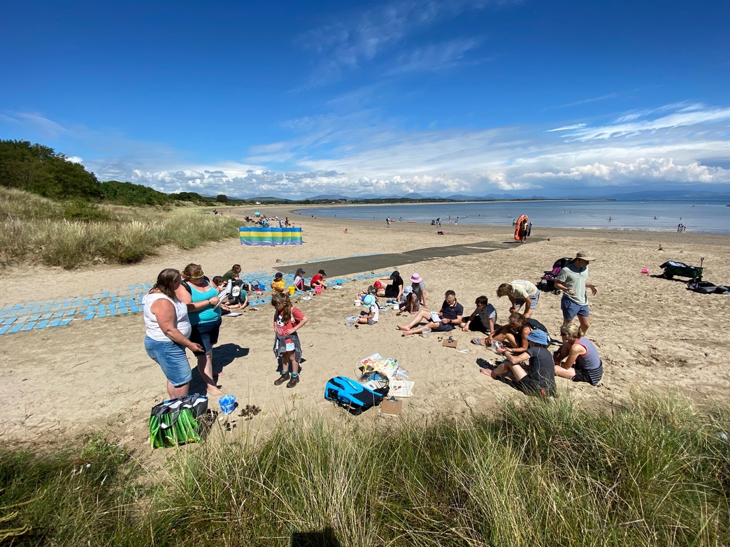 Project Siarc | North Wales Wildlife Trust