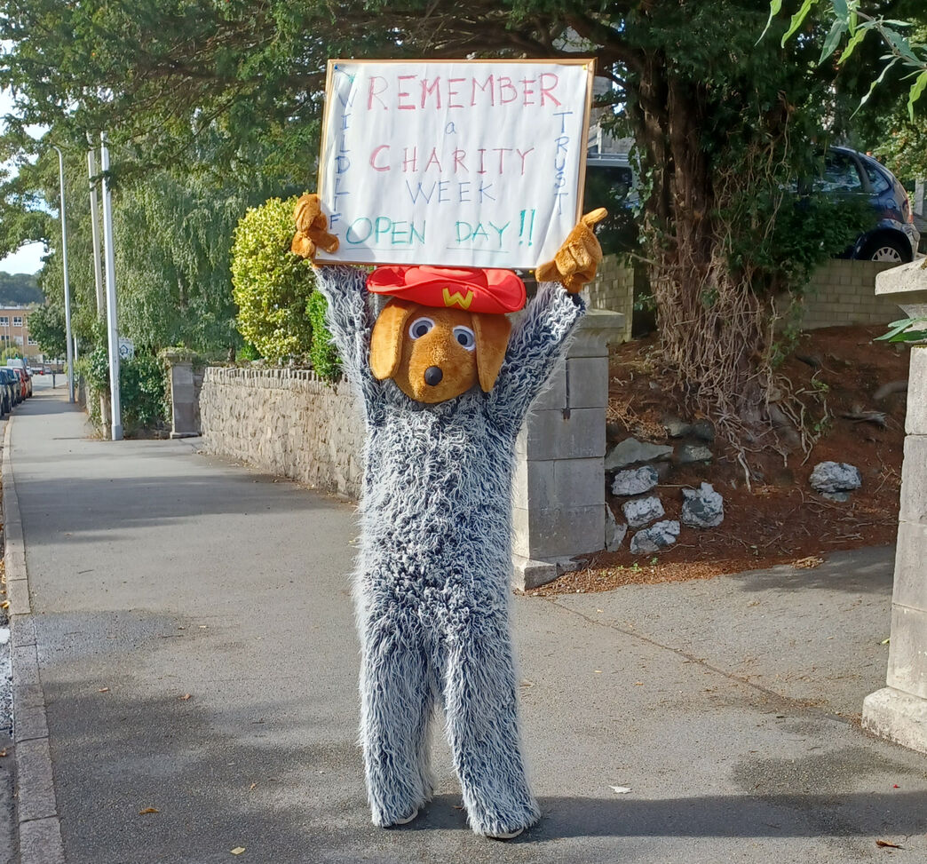 Remember a Charity in your Will Event | North Wales Wildlife Trust