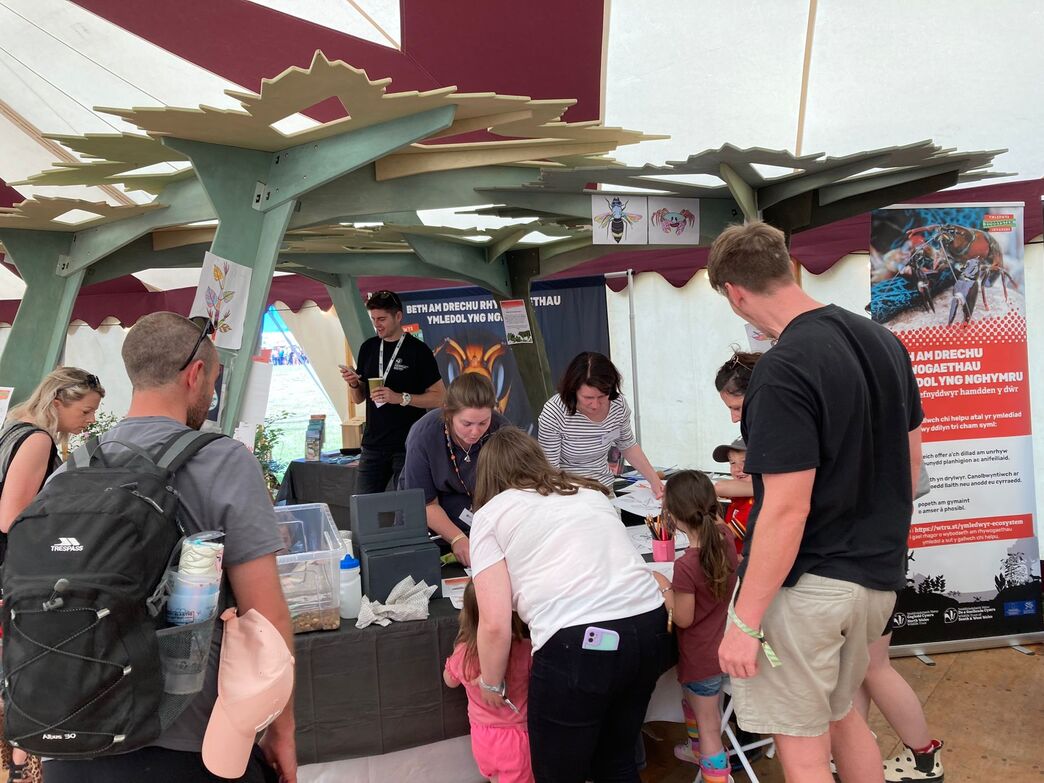 Ecosystem Invaders make a splash at the Eisteddfod | North Wales ...
