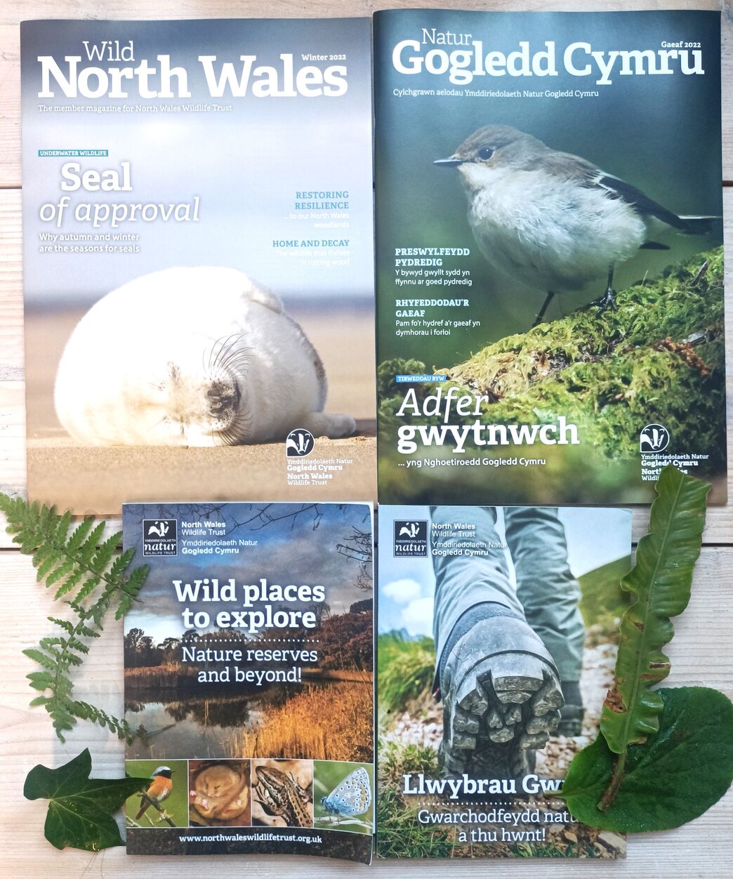 Membership | North Wales Wildlife Trust