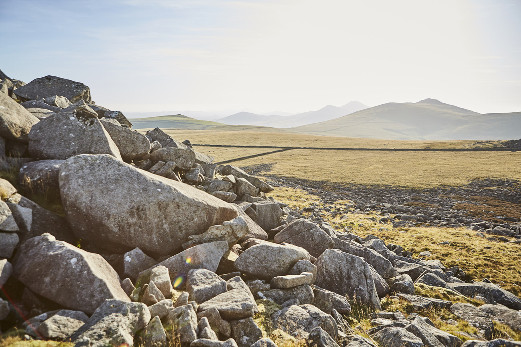 Bryn Ifan | North Wales Wildlife Trust