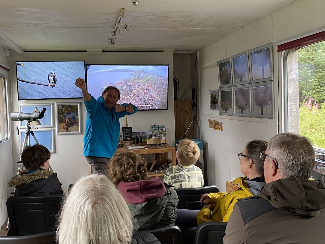 Ospreys at Llyn Brenig | North Wales Wildlife Trust