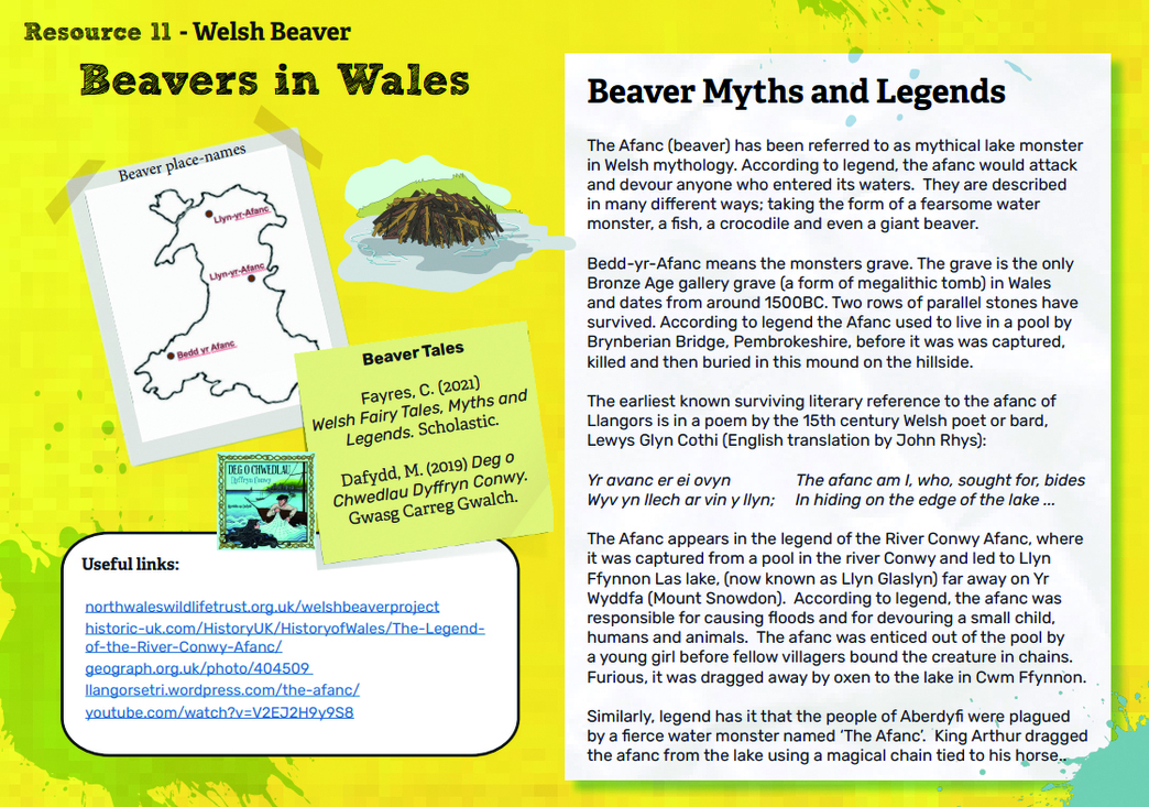 Primary school beaver education resource | North Wales Wildlife Trust