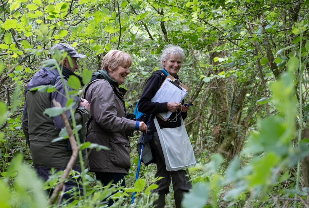 Bryn Ifan Wildlife Count | North Wales Wildlife Trust