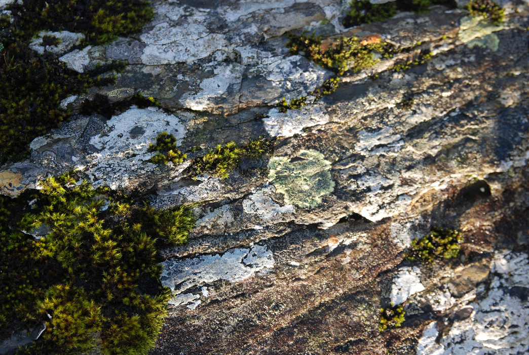 Help protect one of Eryri's most iconic waterfalls | North Wales ...