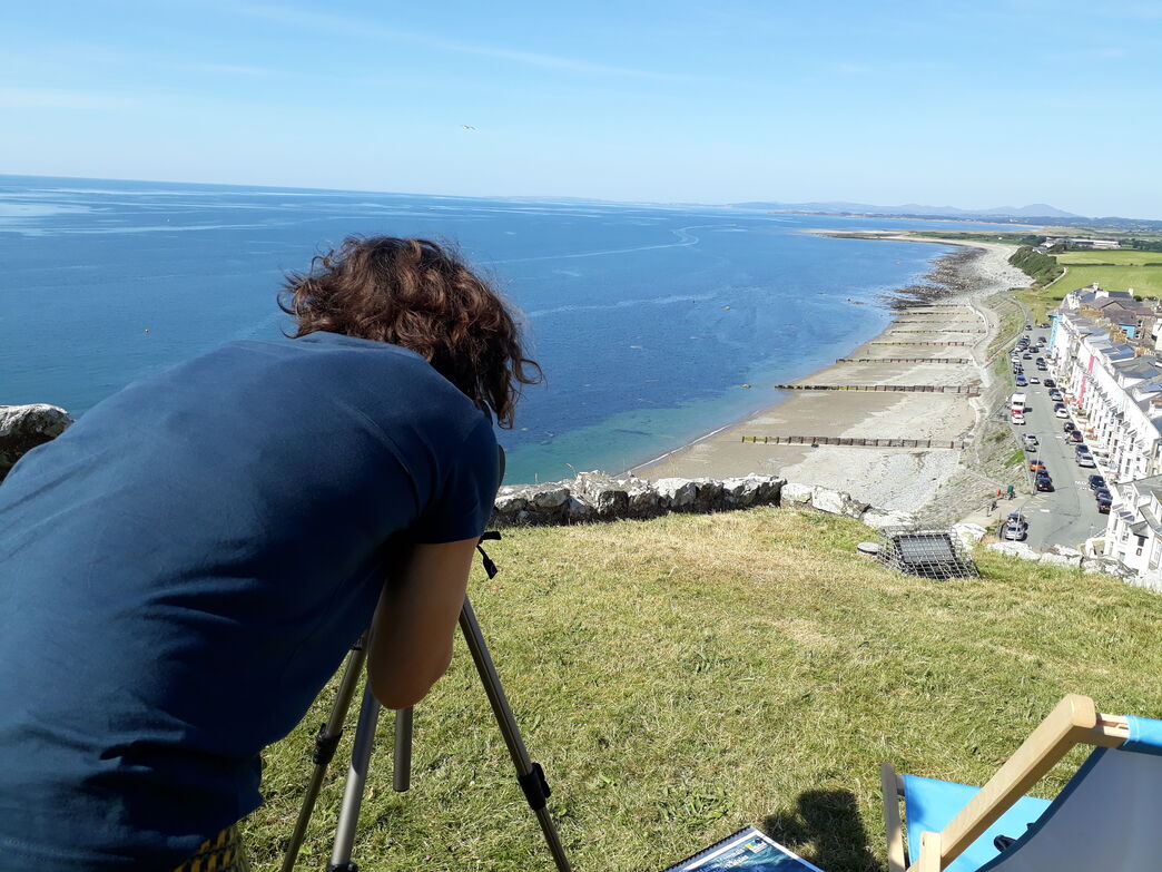 Y Môr a Ni: Ocean Literacy for Wales | North Wales Wildlife Trust