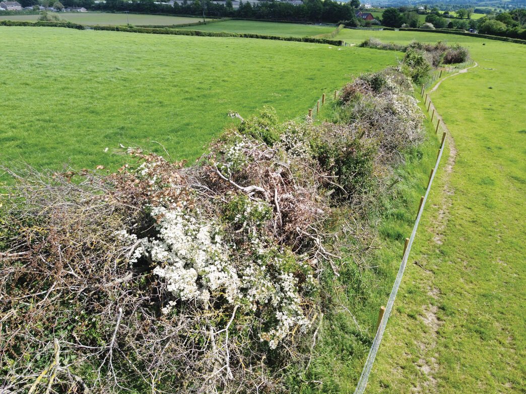 Galwad Farm Advisory Service | North Wales Wildlife Trust
