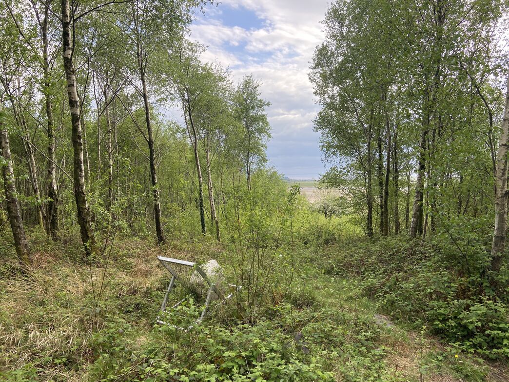 Beyond the Boundary – Exploring invasive species through art at Gwaith ...