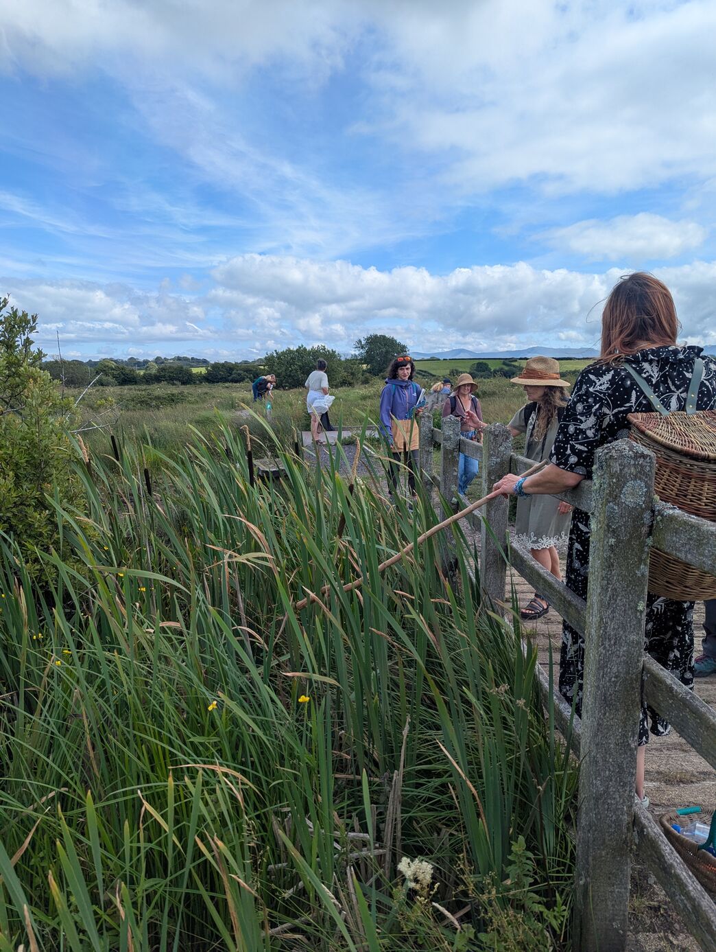 Wetland wonders at Corsydd Calon Môn | North Wales Wildlife Trust