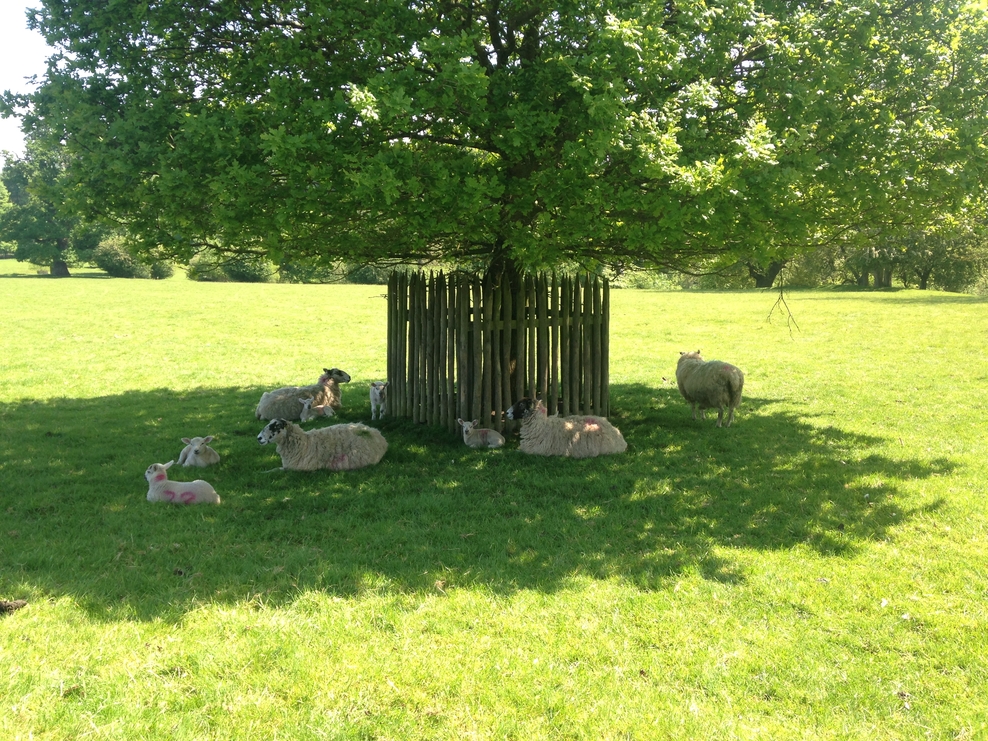 Support for landowners | North Wales Wildlife Trust