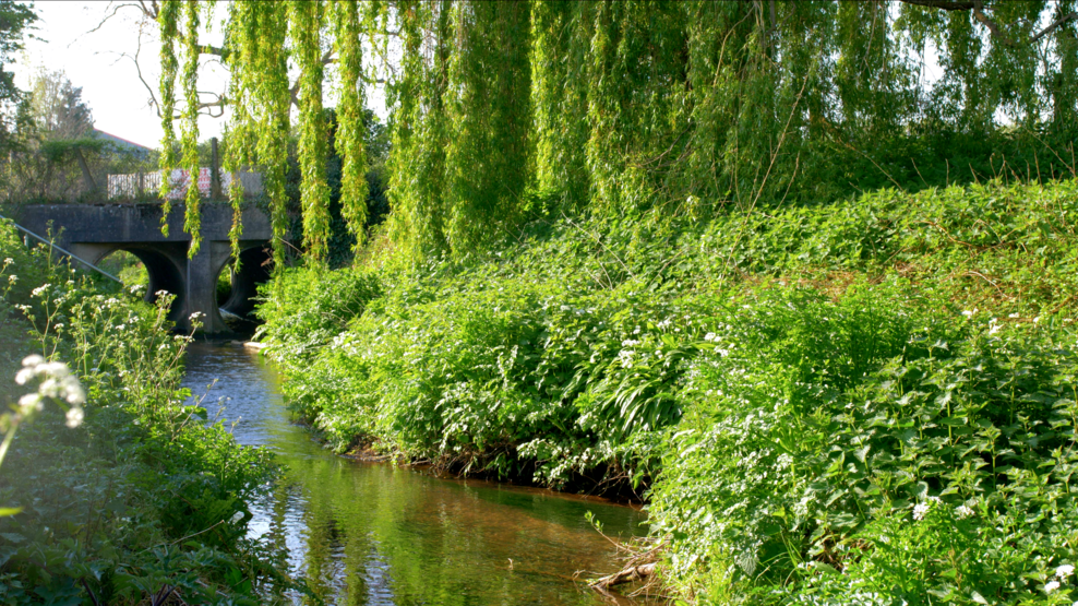 Wrexham Industrial Estate Living Landscape - Discover | North Wales ...