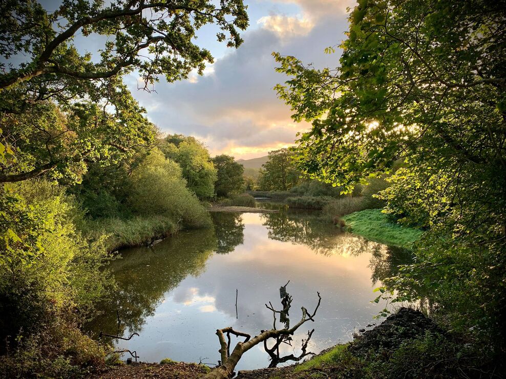 Landing page BPW and Spinnies | North Wales Wildlife Trust