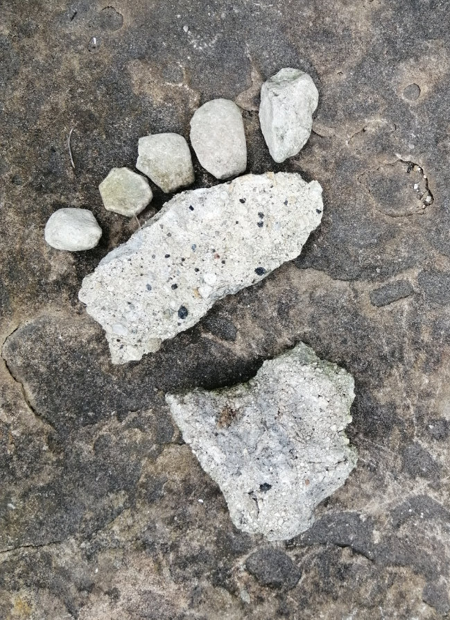 Footprint Photo Competition | North Wales Wildlife Trust