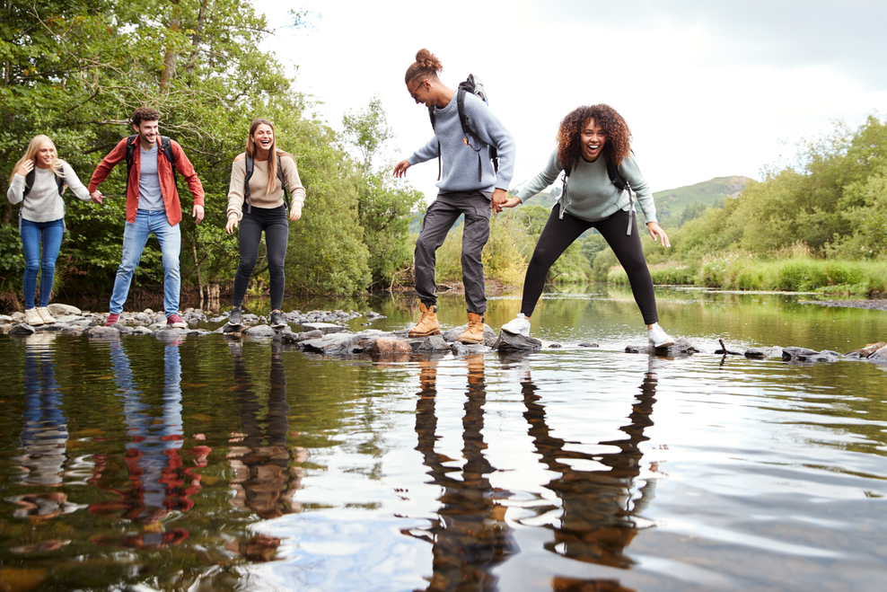 Wild Walks | North Wales Wildlife Trust