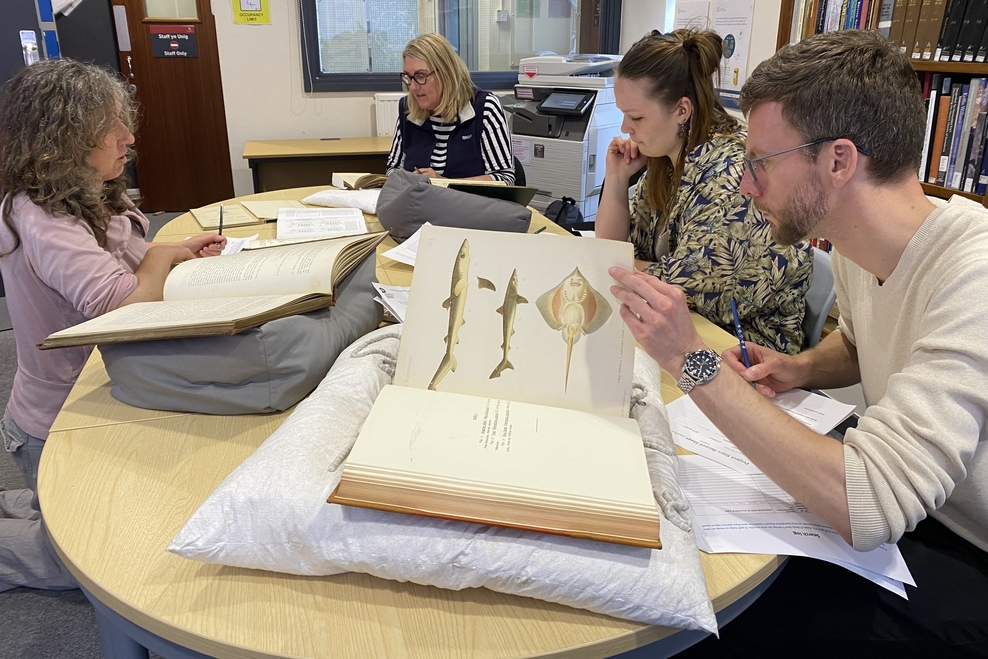 Project SIARC wins Wales National Lottery Project of the Year Award ...