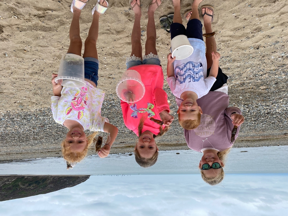 Project Siarc | North Wales Wildlife Trust