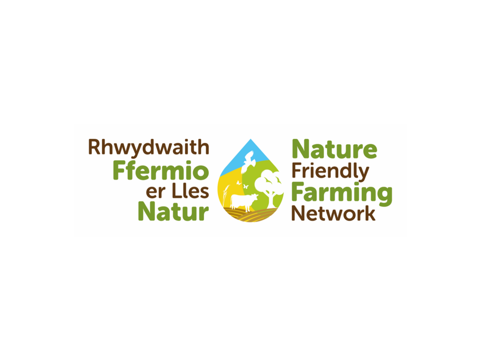 Wales Resilient Ecological Network (WaREN) | North Wales Wildlife Trust