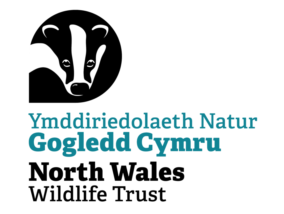Wales Resilient Ecological Network (WaREN) | North Wales Wildlife Trust