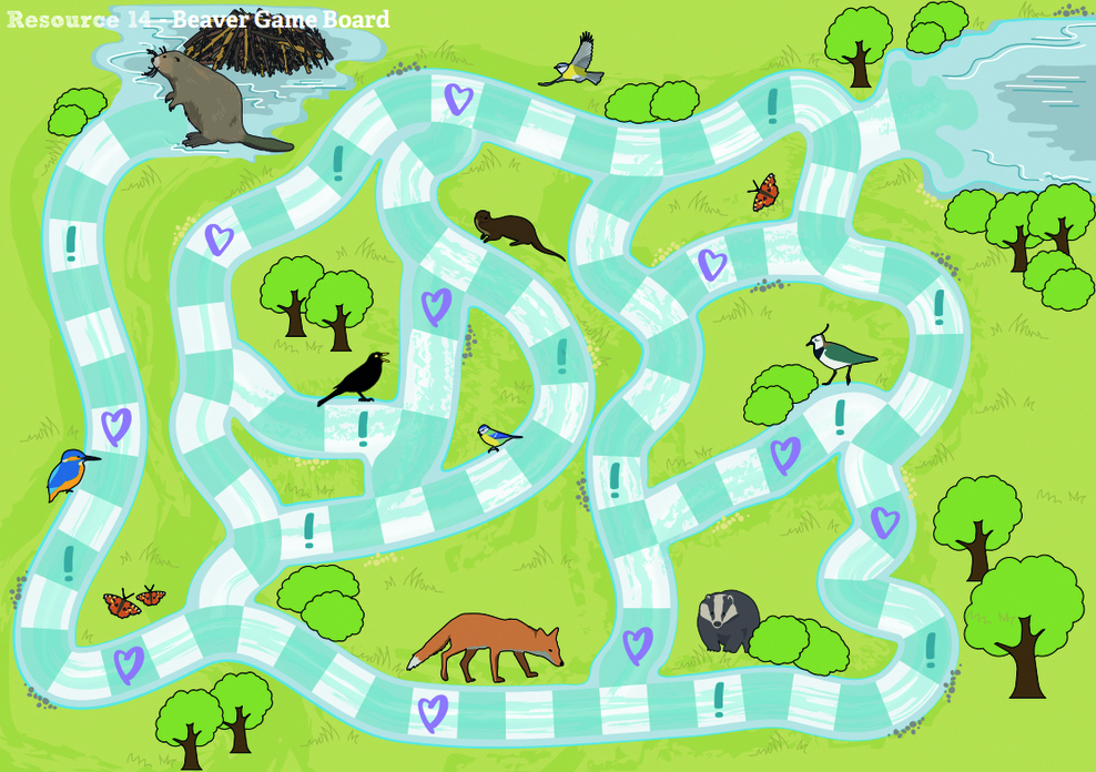 Primary school beaver education resource | North Wales Wildlife Trust