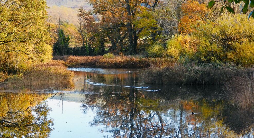 Public consultation on name change of Spinnies Aberogwen Nature Reserve ...