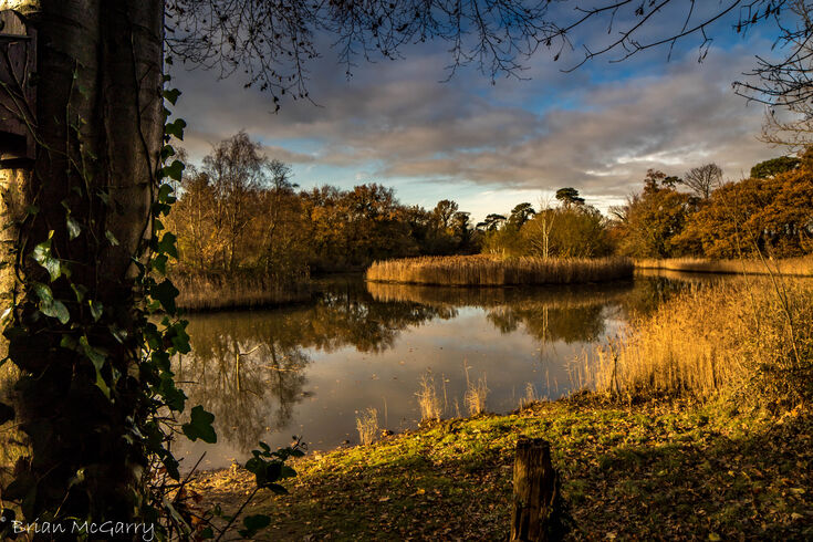 Our work on nature reserves | North Wales Wildlife Trust