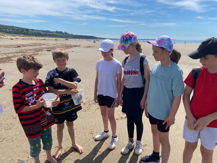 Project Siarc | North Wales Wildlife Trust