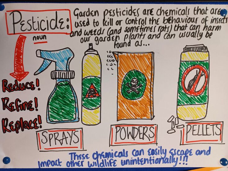 Young people campaign for nature with a Pledge to Go Pesticide Free ...