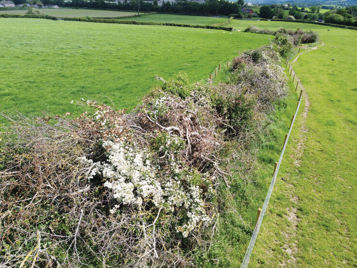 Galwad Farm Advisory Service | North Wales Wildlife Trust