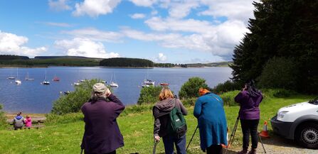 Ospreys at Llyn Brenig | North Wales Wildlife Trust