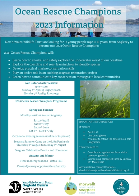 Ocean Rescue Champions | North Wales Wildlife Trust